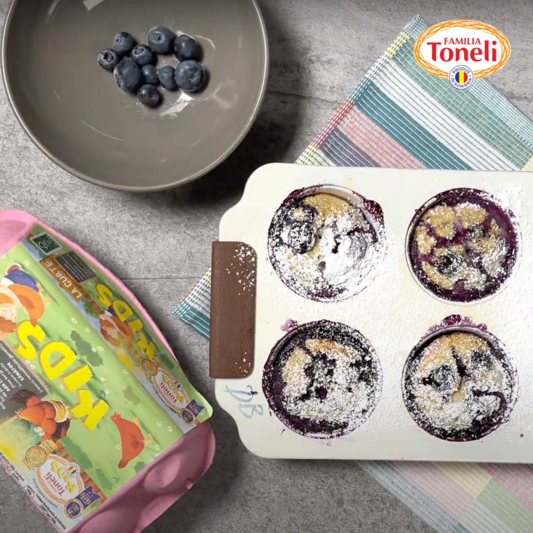 Dragoș Bercea – Brioșe pentru cei mici – Familia Toneli